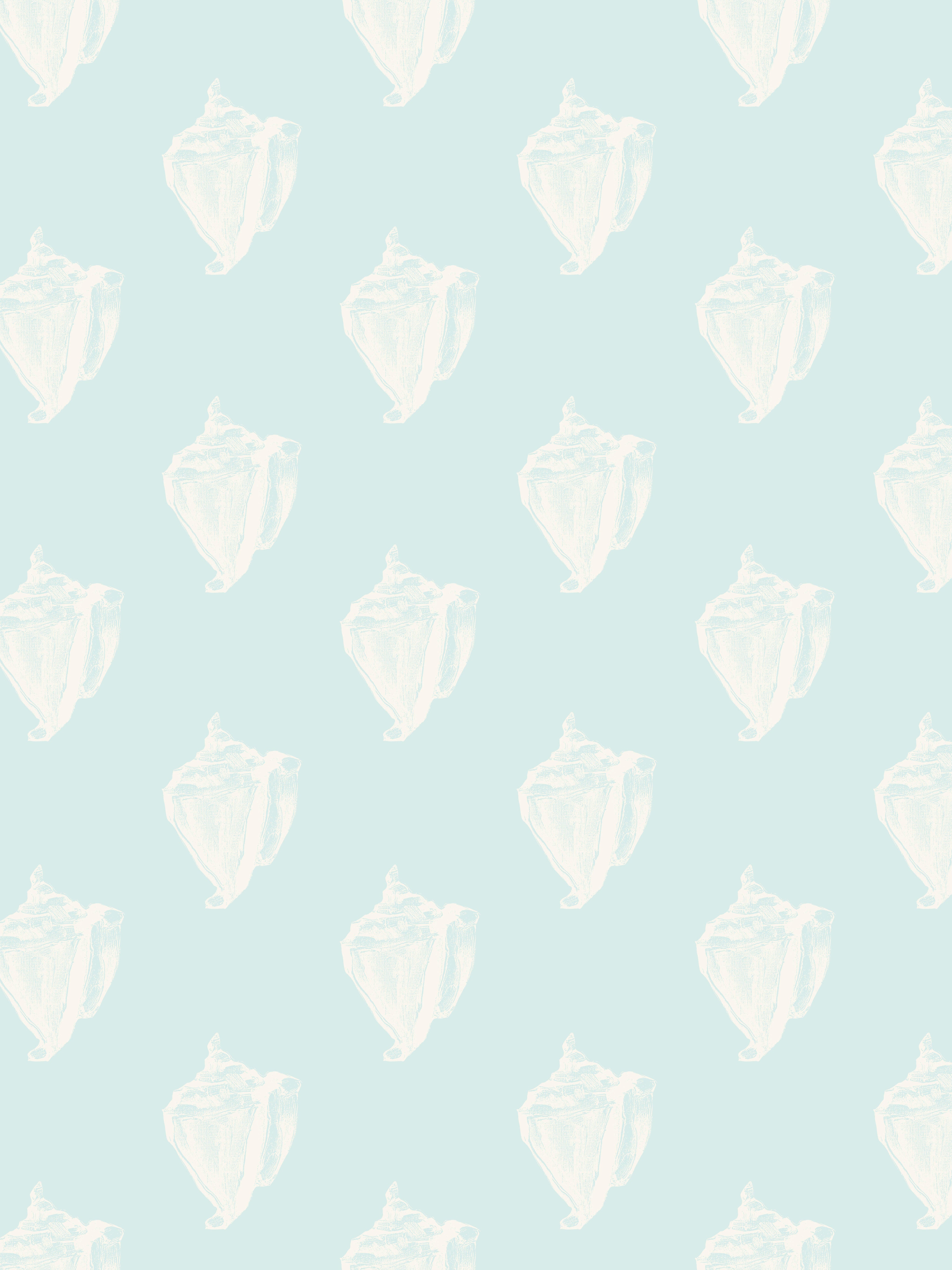 Conch | Java - Mitch Ferrin's Beach-Inspired Shell Wallpaper by Fallingstar